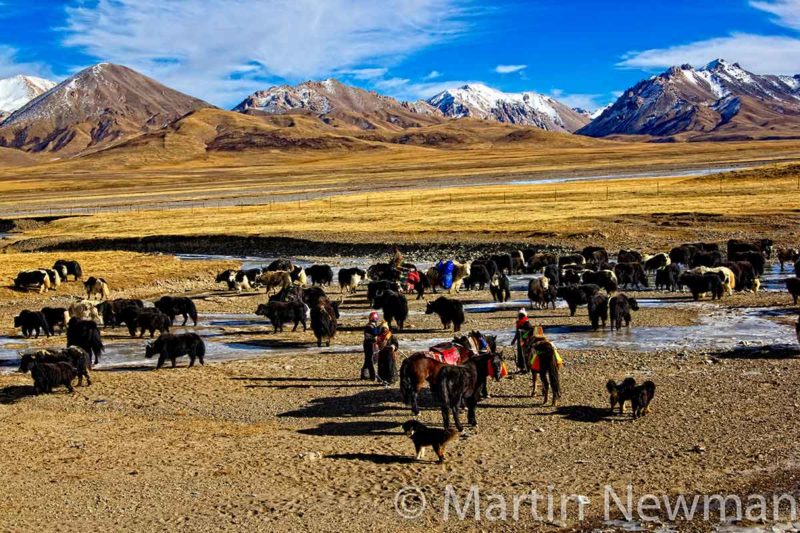 Gorgeous Kham and Amdo Photo Gallery